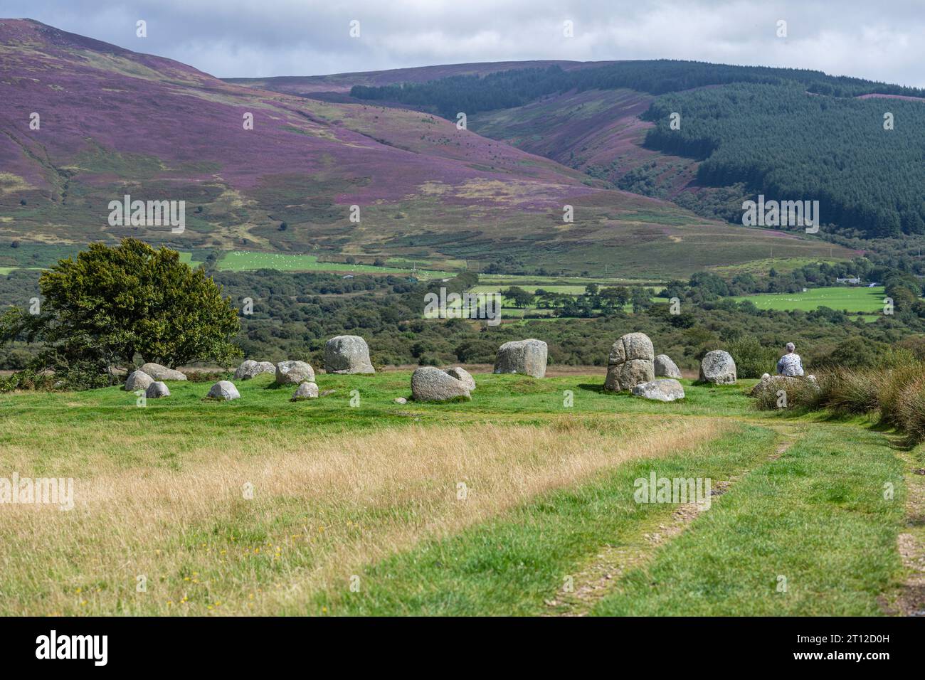 Machrie Moor 5, Machrie Moor Stone Circles, Machrie, the Isle of Arran ...