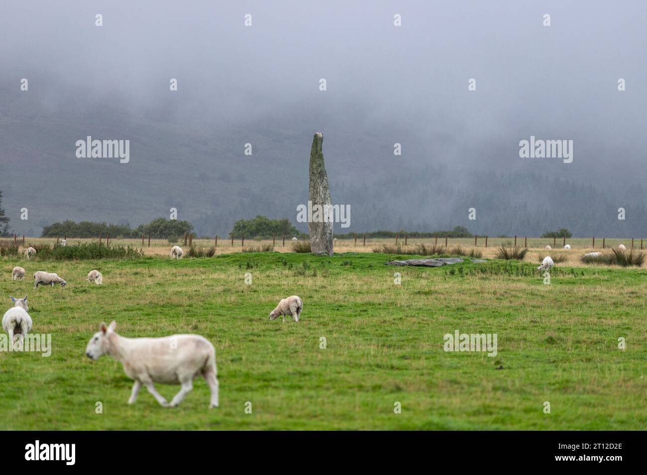 Dragons tooth standing stone, Isle of Arran, Firth of Clyde, Scotland ...