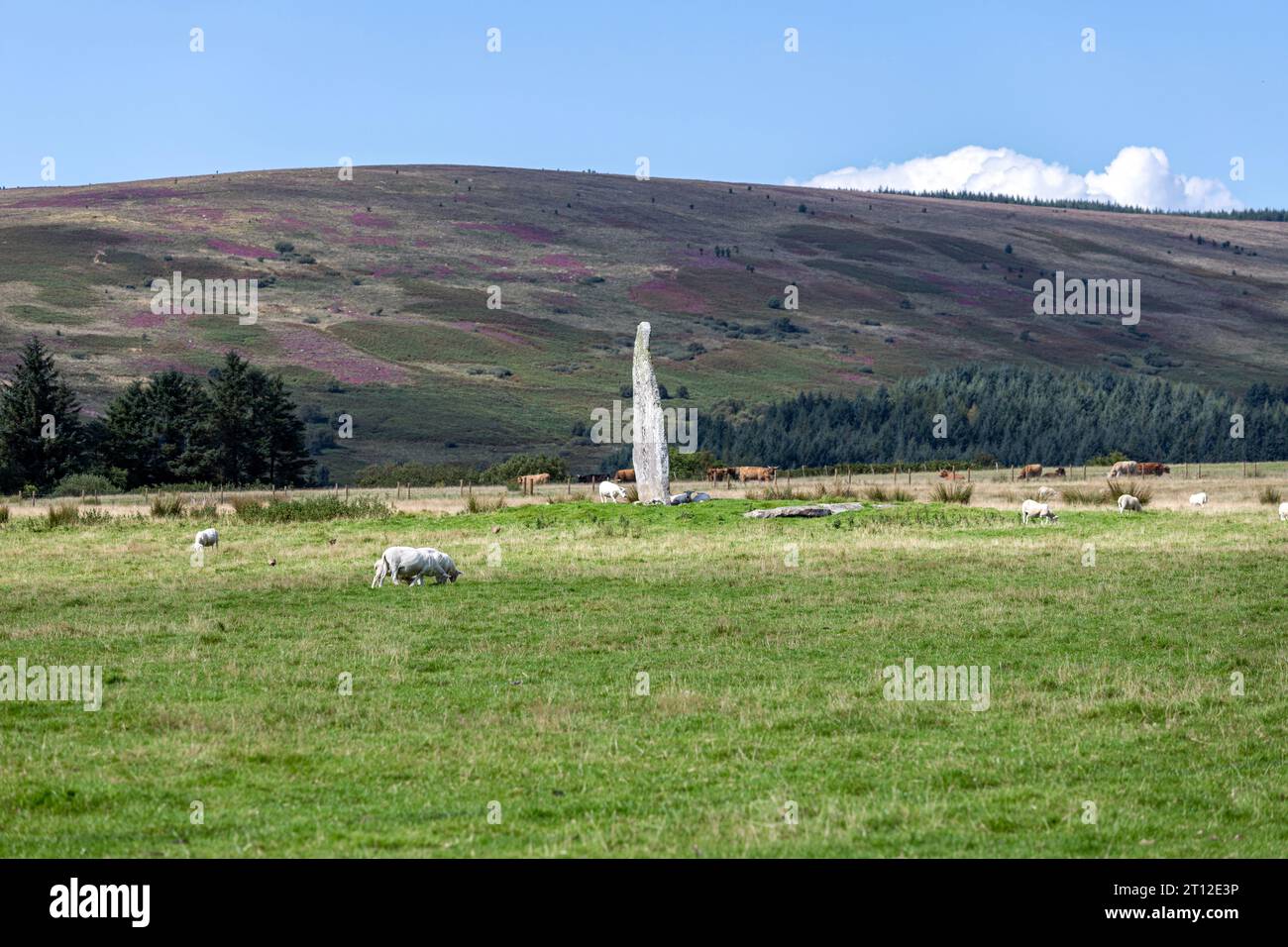 Dragons tooth standing stone, Isle of Arran, Firth of Clyde, Scotland ...