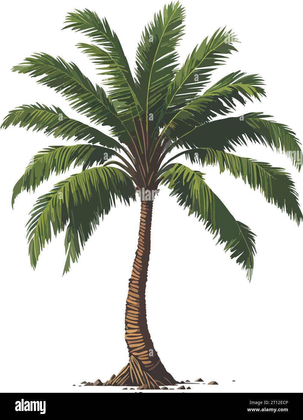 Palm Tree Illustration Vector Format Stock Vector Image & Art - Alamy