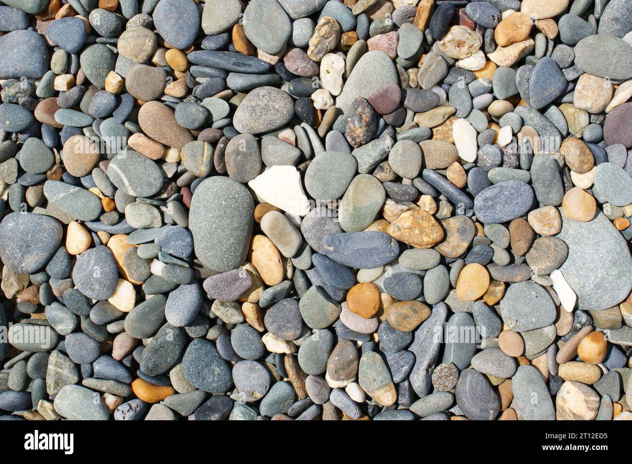 Background of dry various pebbles. Top view Stock Photo - Alamy