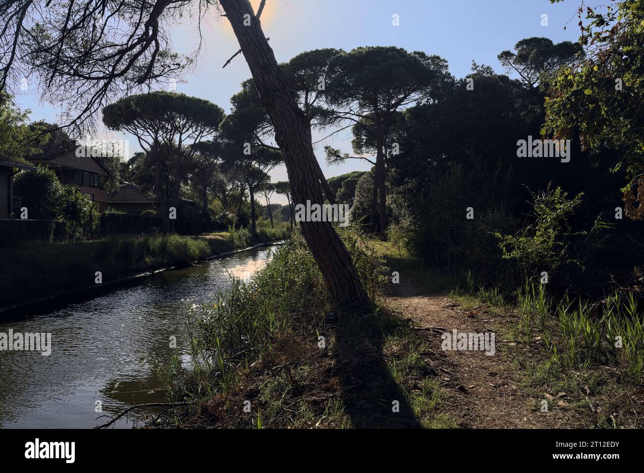 Stream of water in a park next to a town by the italian seaside at ...