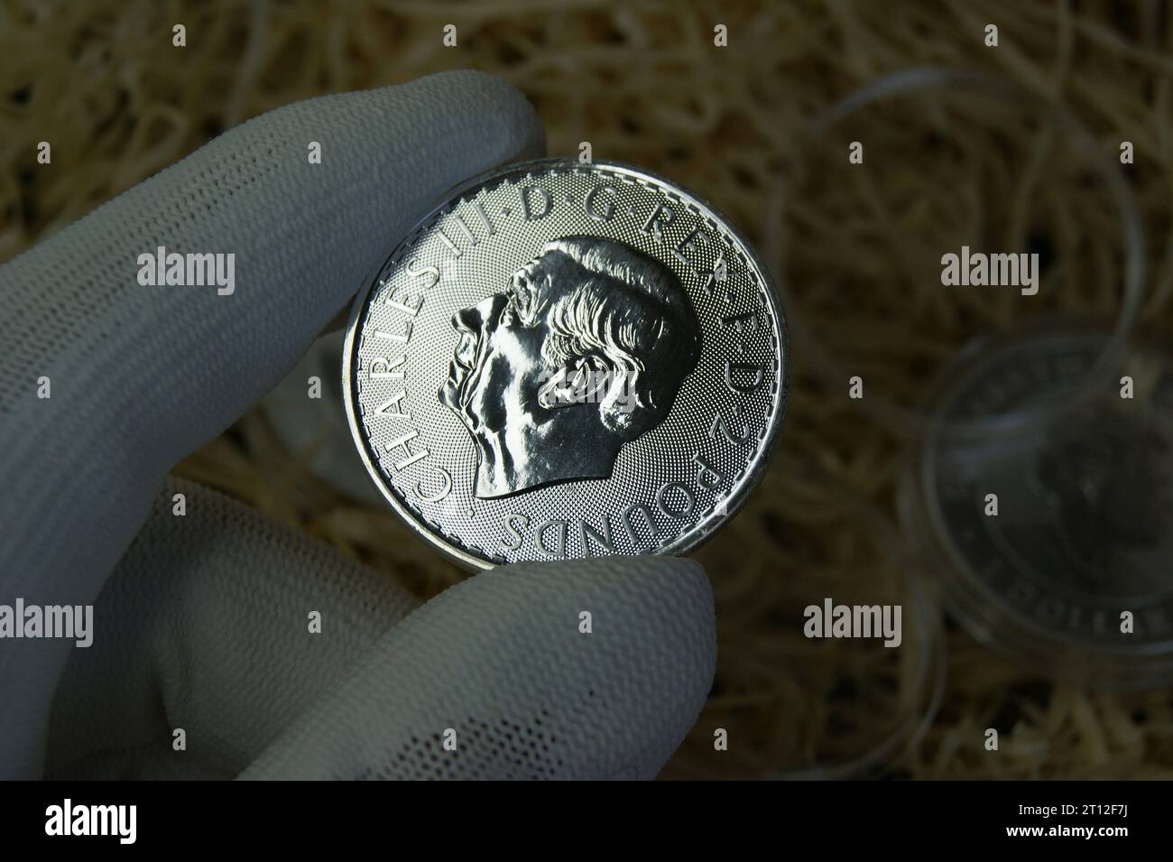 Silver coin in numismatist's hand. Silver coin 2 pounds King Charles ...