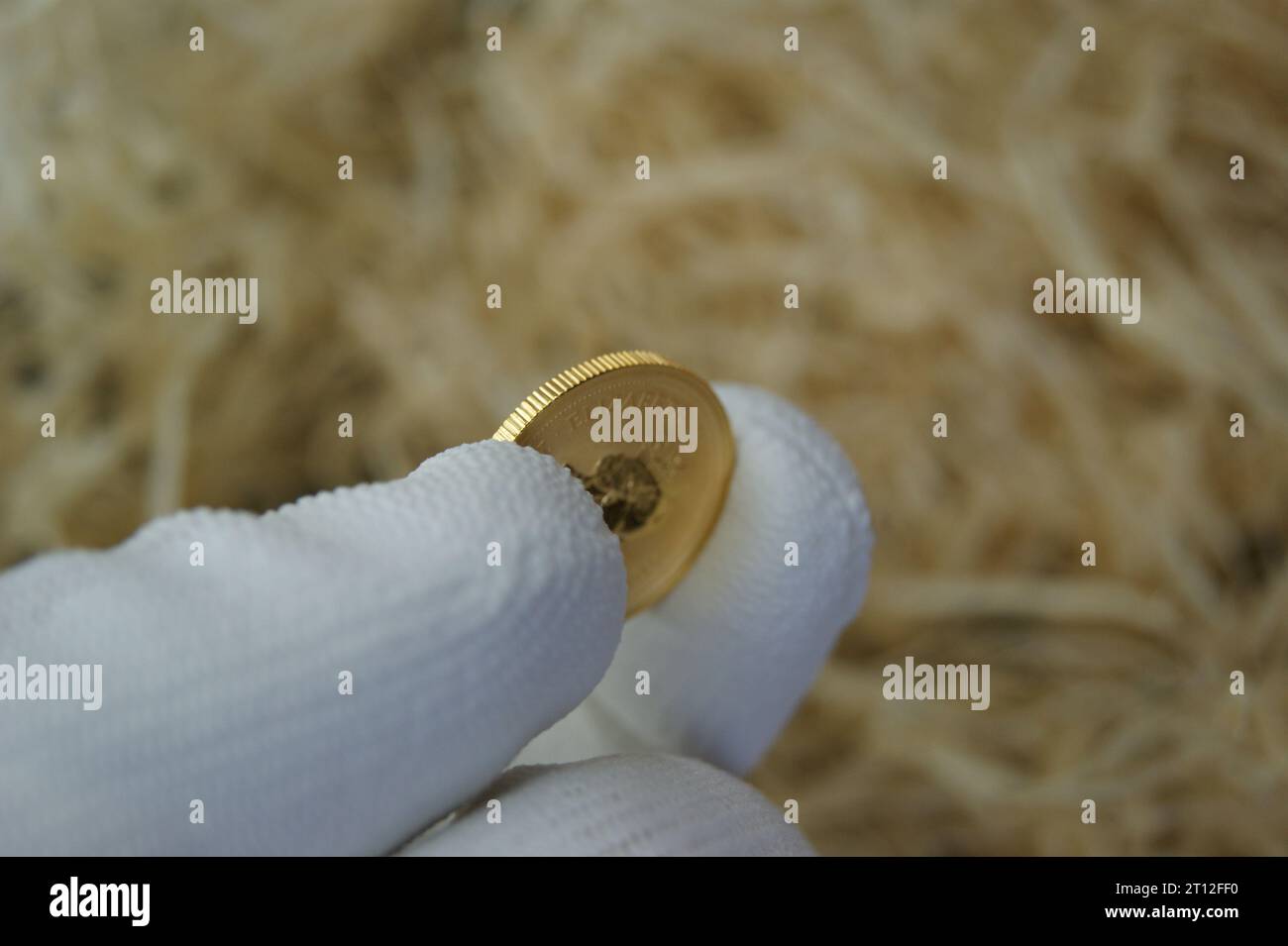 A pure gold investment coin in the hands of a numismatist. A coin made ...