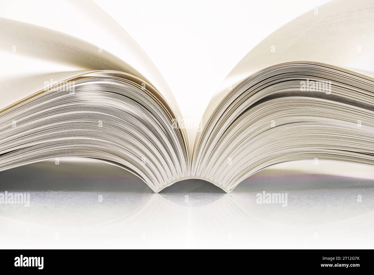 Detail of the notebooks sewn with threads and glued on the spine ...