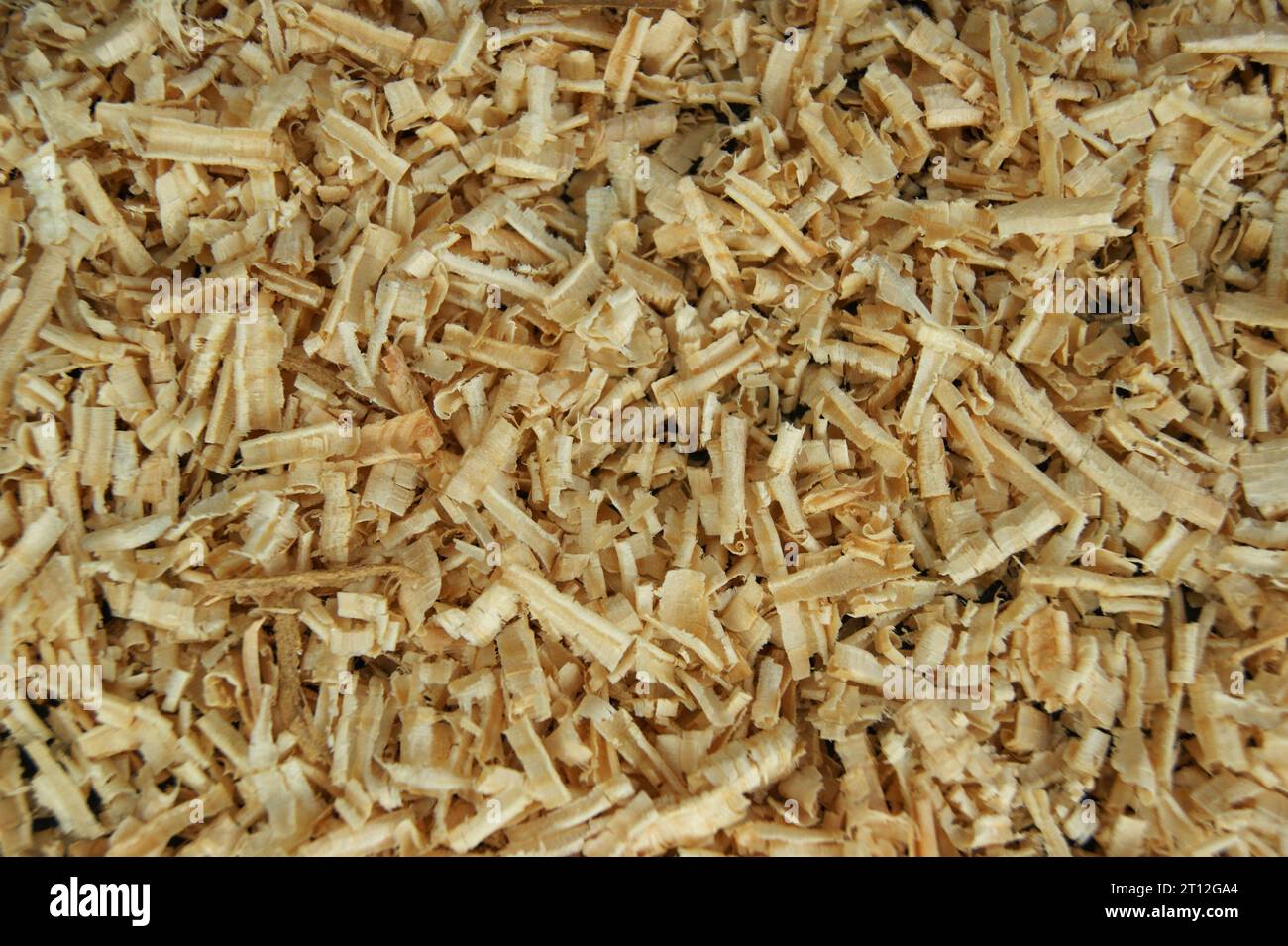 Screen background from wood shavings. Carpenter's workshop Stock Photo ...