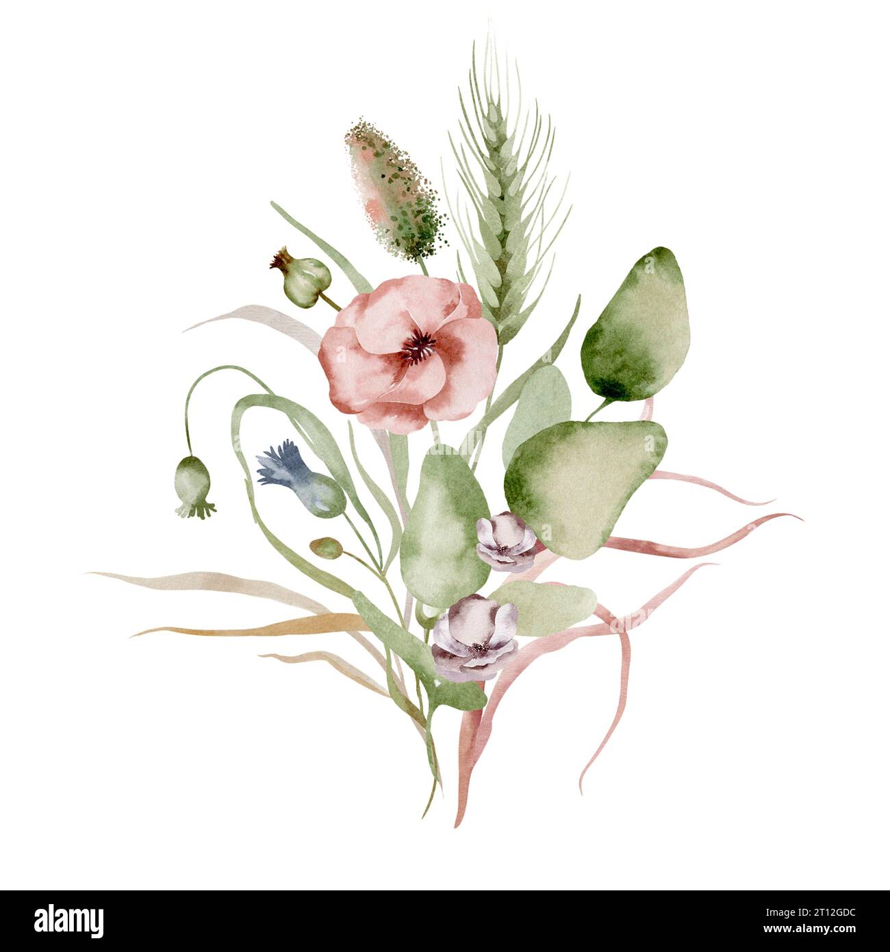 Detailed composition dried flowers Cut Out Stock Images & Pictures - Alamy