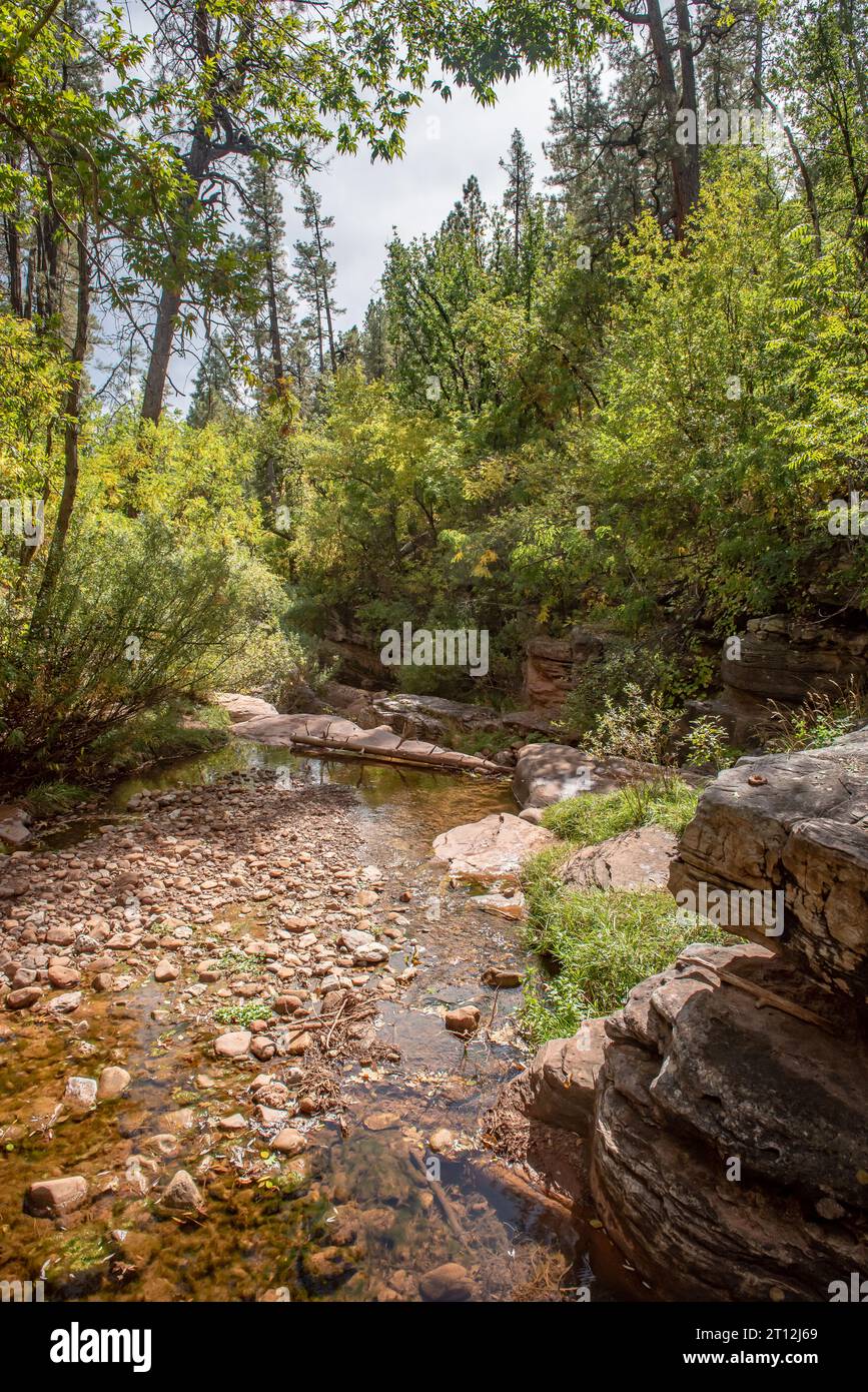 river in an Arizona valley Stock Photo - Alamy