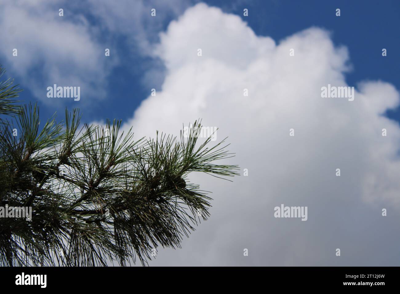 Below 54 degrees hi-res stock photography and images - Alamy
