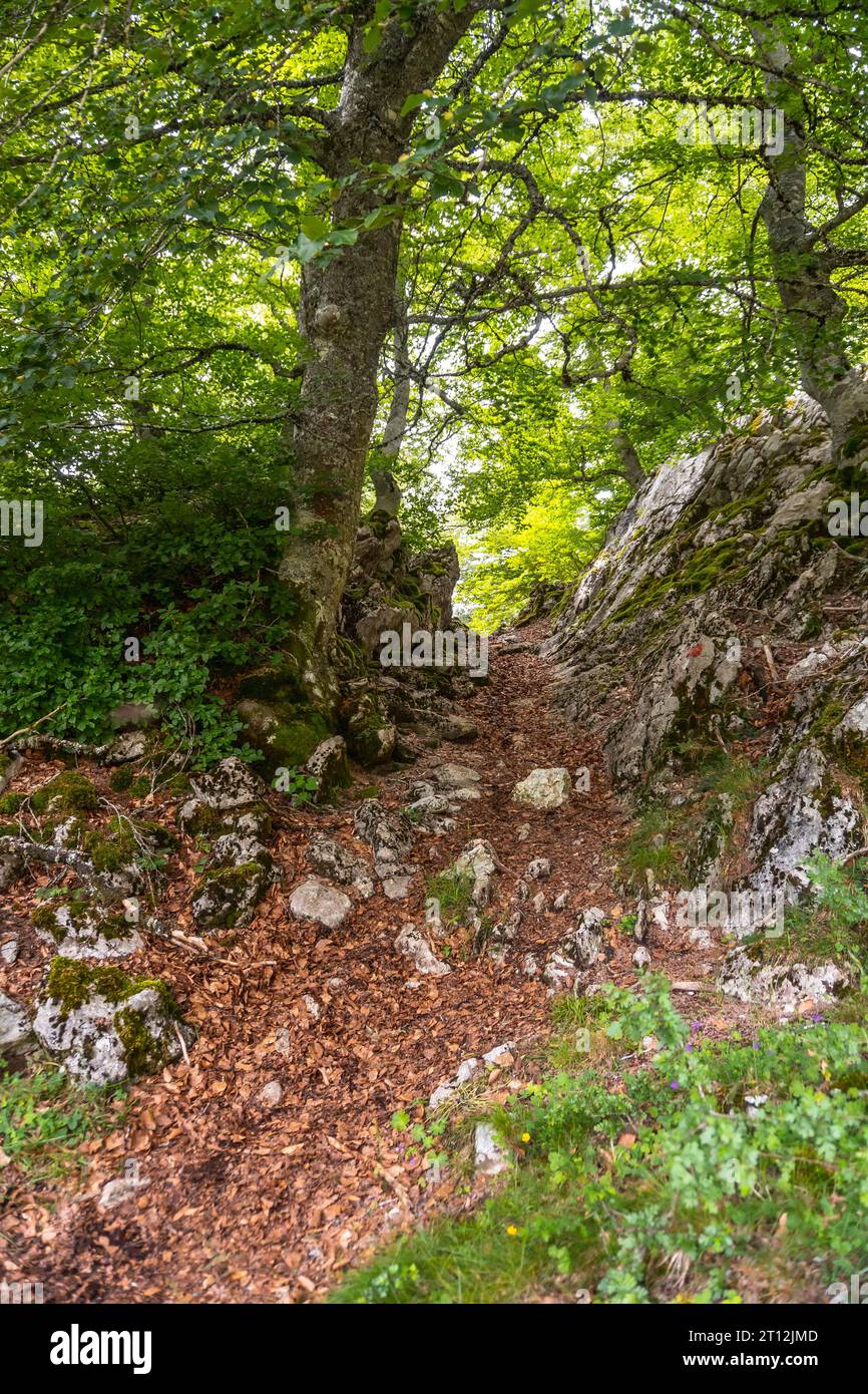 Mount Aizkorri 1523 meters, the highest in Guipuzcoa. Basque Country ...