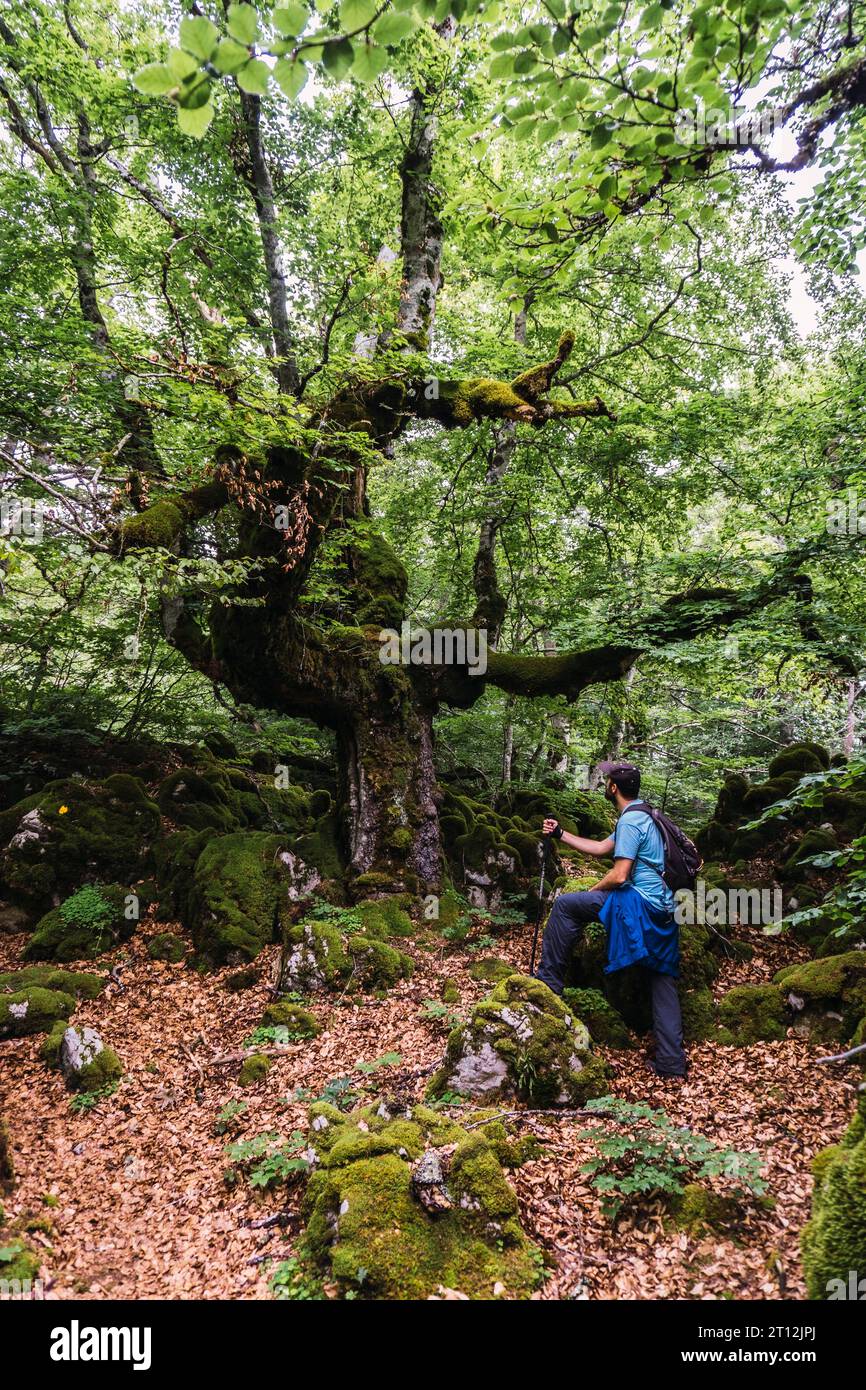 Mount Aizkorri 1523 meters, the highest in Guipuzcoa. Basque Country ...