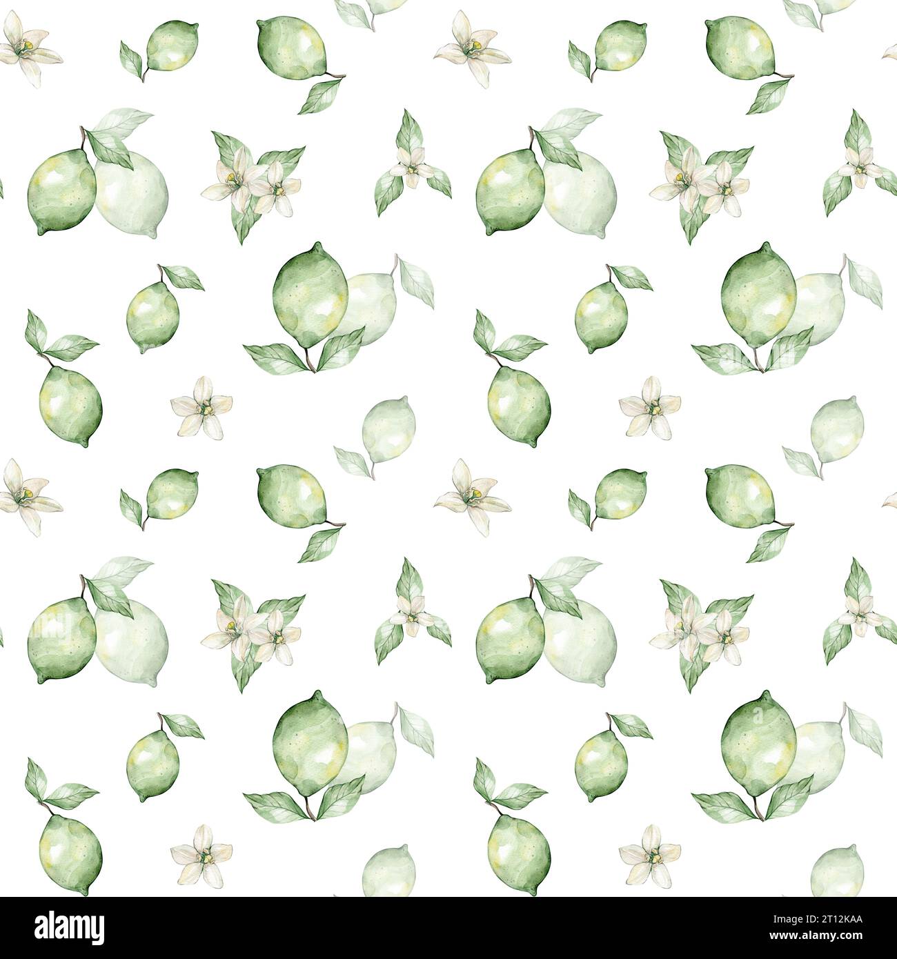 Seamless pattern with watercolor limes Stock Photo - Alamy