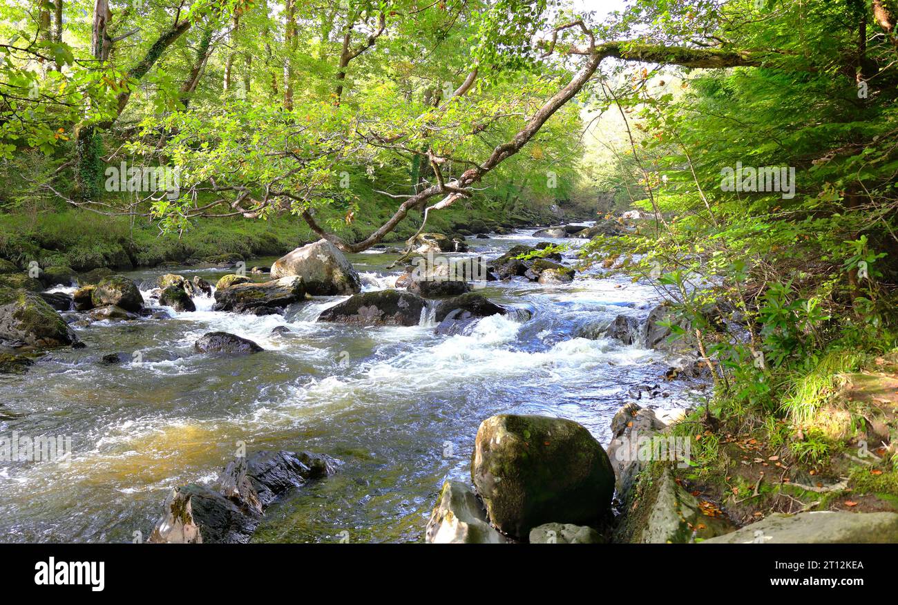 Landscape images along Afon River Llugwy near Betws-Y-Coed in the ...