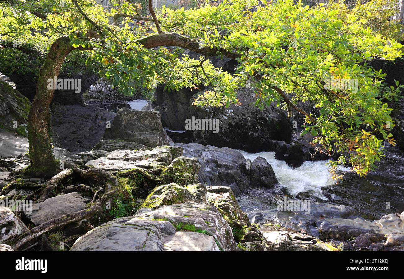 Landscape images along Afon River Llugwy near Betws-Y-Coed in the ...