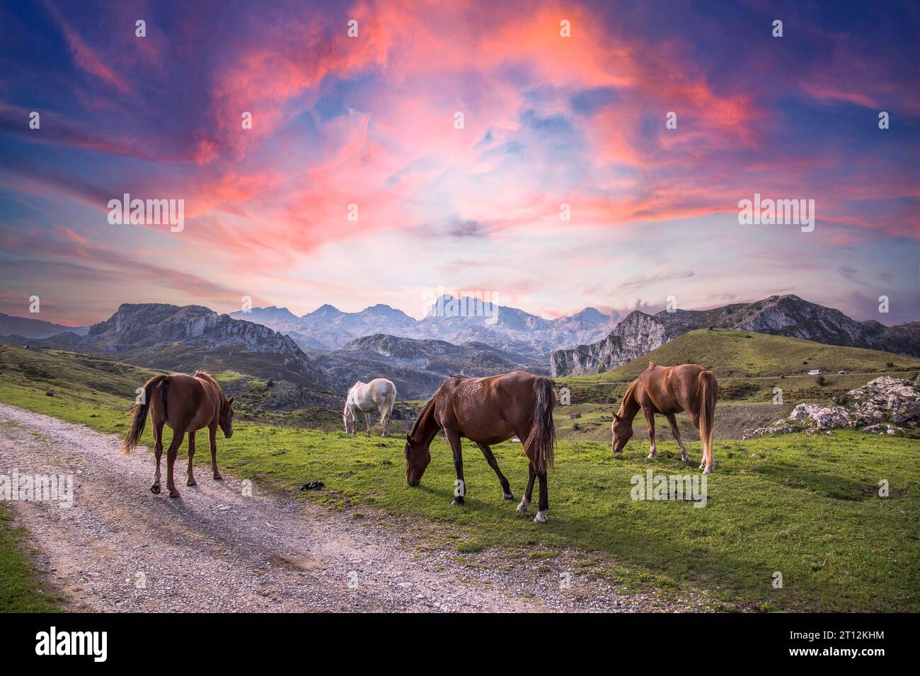 The beautiful lake of Covadonga in Asturias, a beautiful spring sunset ...