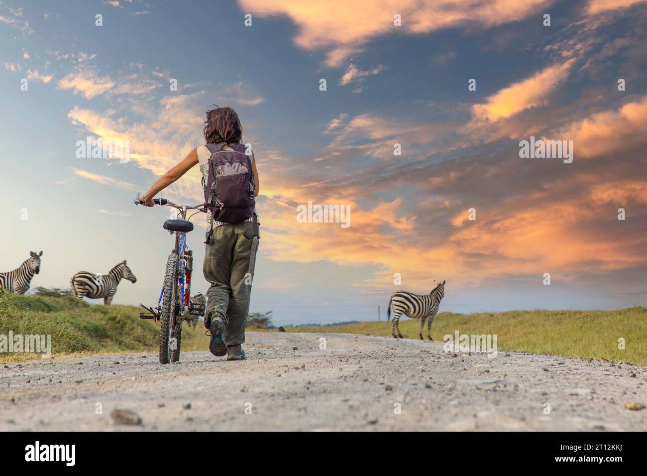 A girl on a bike next to Zebras in Naivasha in Hells Gate Park at ...
