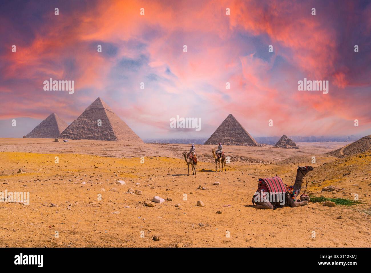 Cairo, Egypt, October 2020: A seated camel and men on camels in the ...