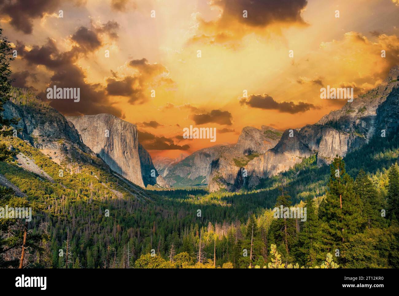 Tunnel view viewpoint hi-res stock photography and images - Alamy