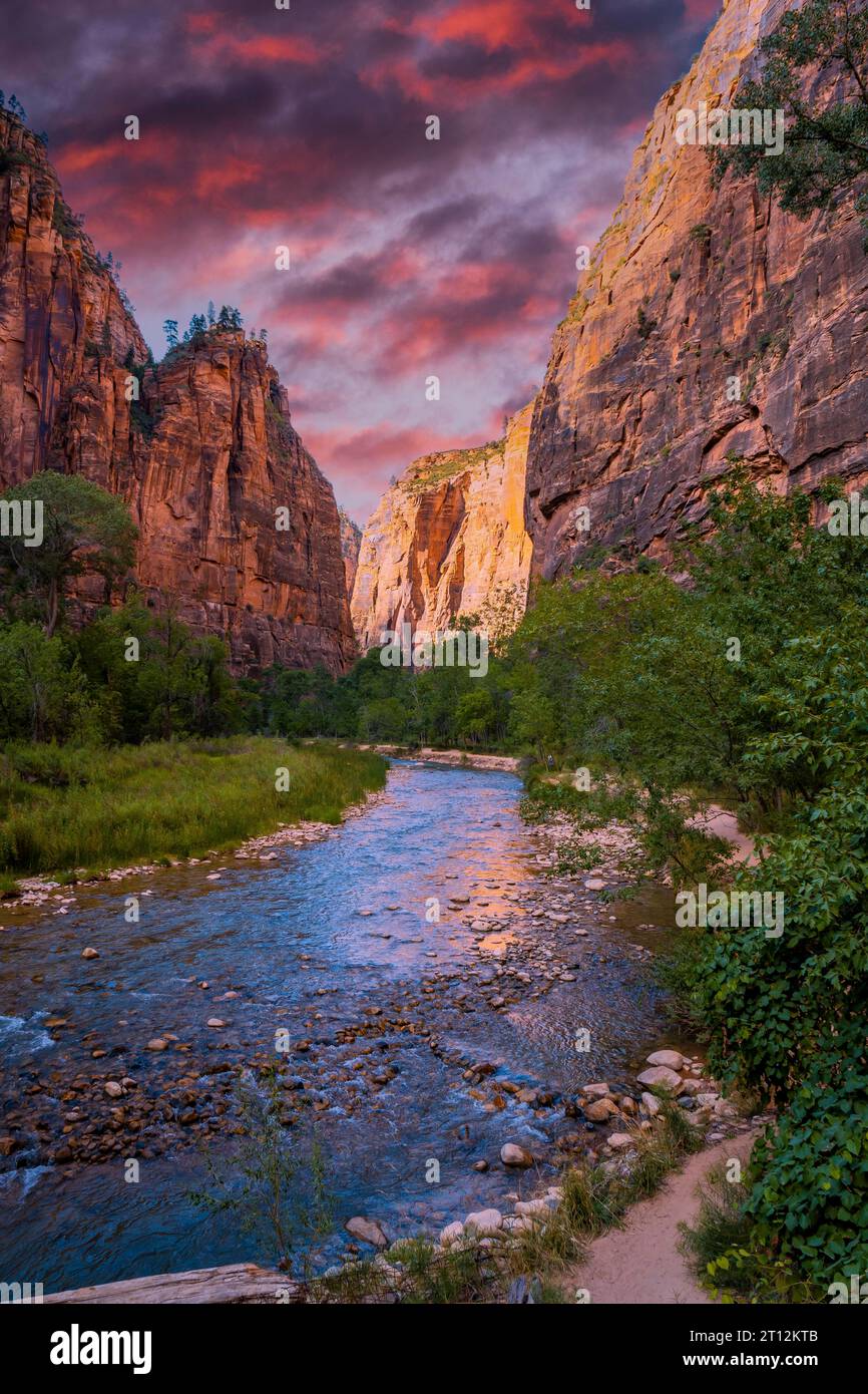 The beautiful views of the Zion national park canyon in sunset. United ...