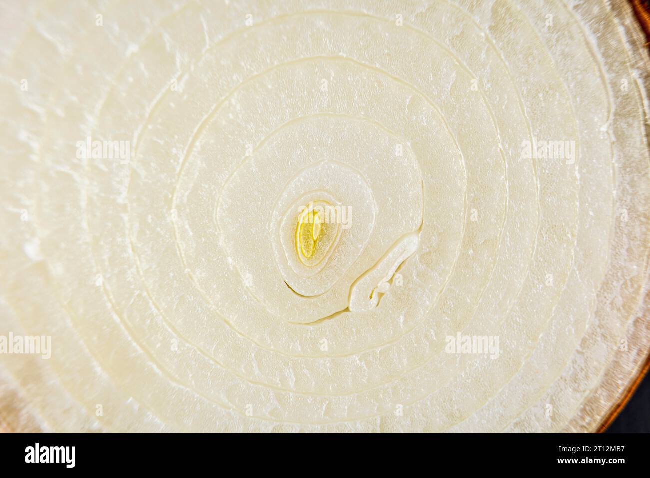 Texture detail of an onion cut in half, macro photography Stock Photo ...