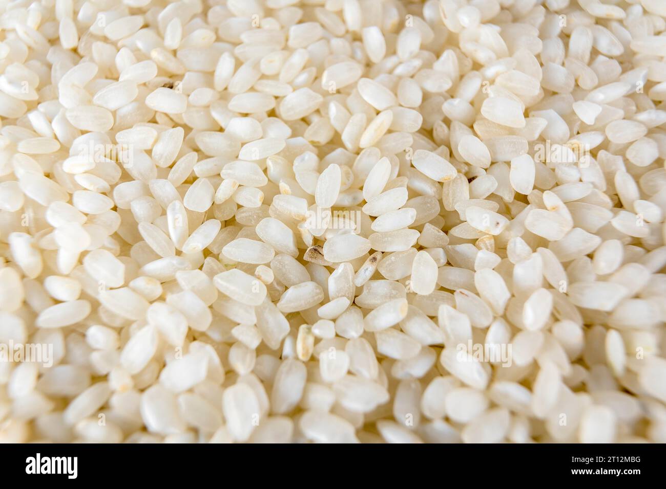 Rice grains photographed with macro photography, food photography Stock ...
