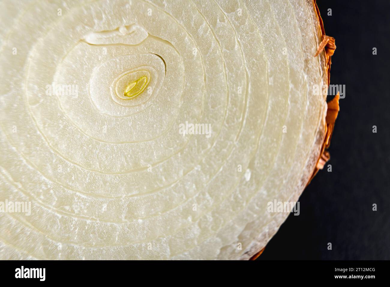Texture detail of an onion cut in half, macro photography Stock Photo ...