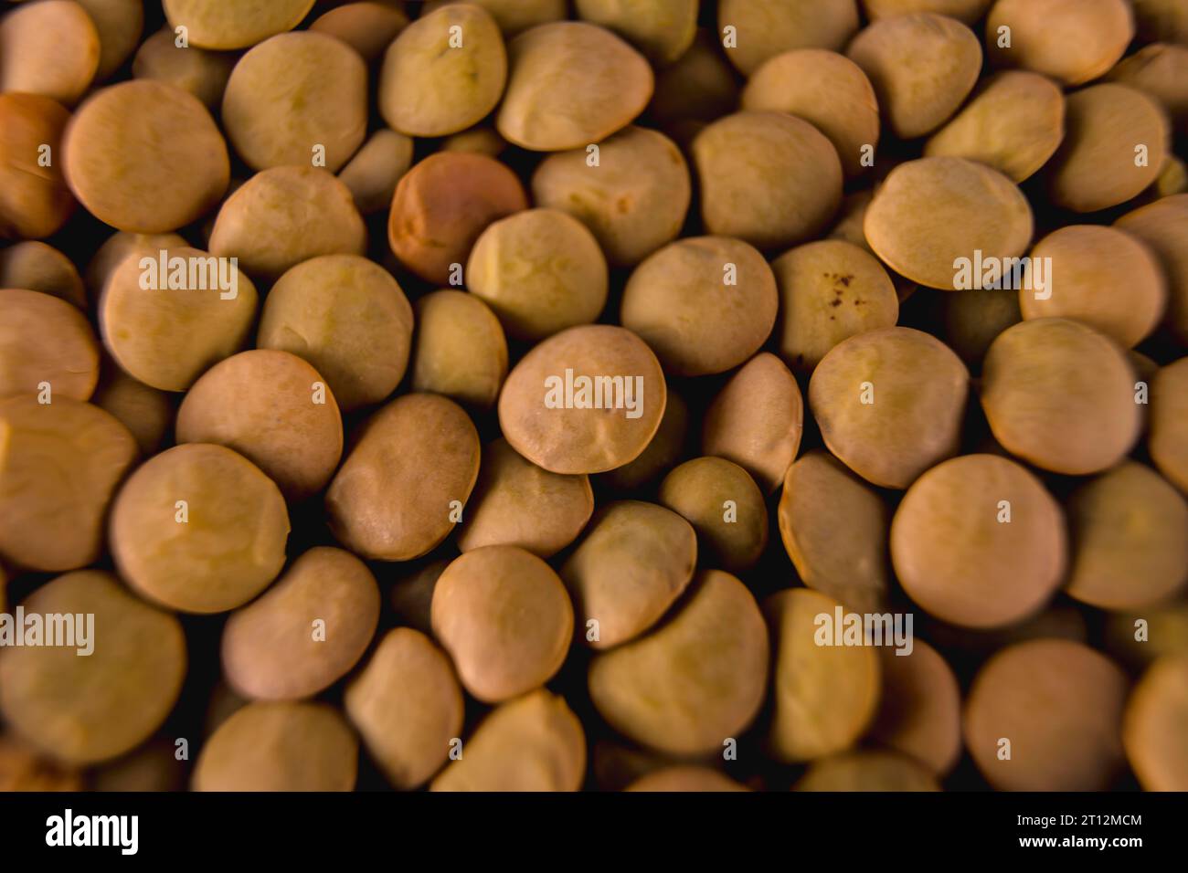 Detail of beautiful lentils with macro photography, food photography ...