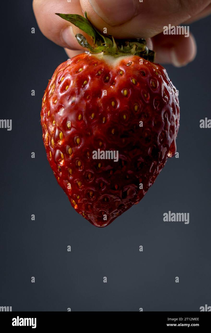 Texture of a wet strawberry held by a woman's hand with black ...