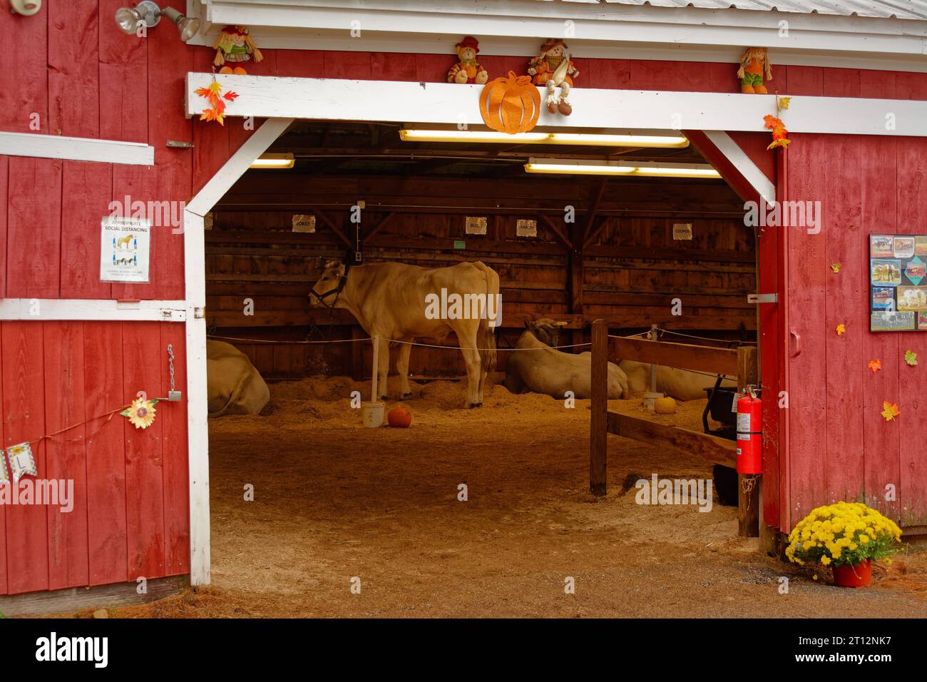 Deerfield Fair, New Hampshire 2023 - A view of the inside of the red ...