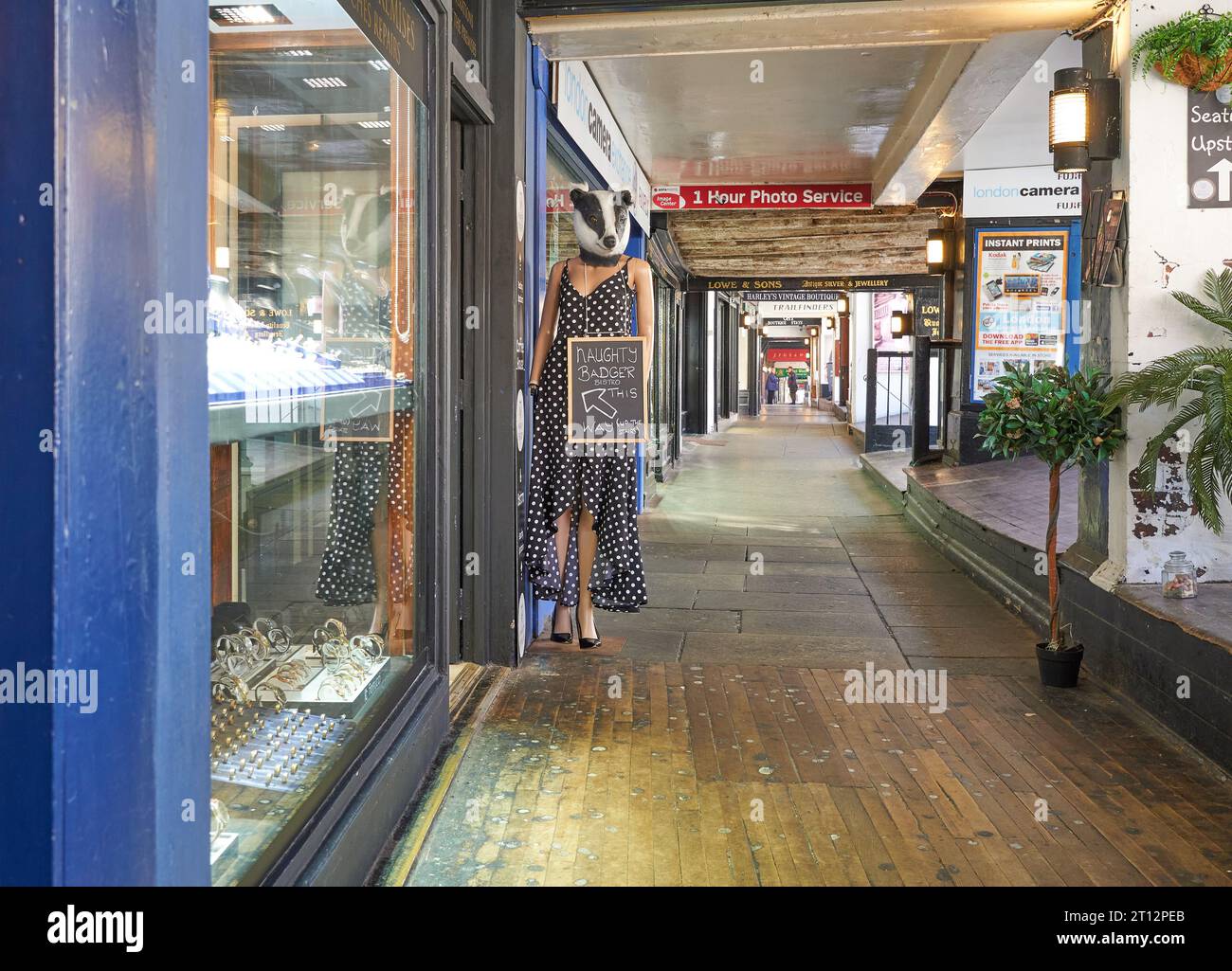 The Rows shops in Chester, Cheshire, UK Stock Photo - Alamy