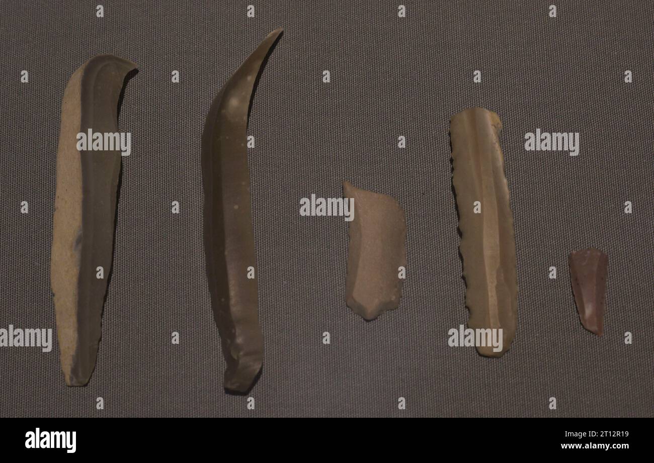 Neolithic Period. Temple Period (3600 to 2500 BC). Flint flakes ...