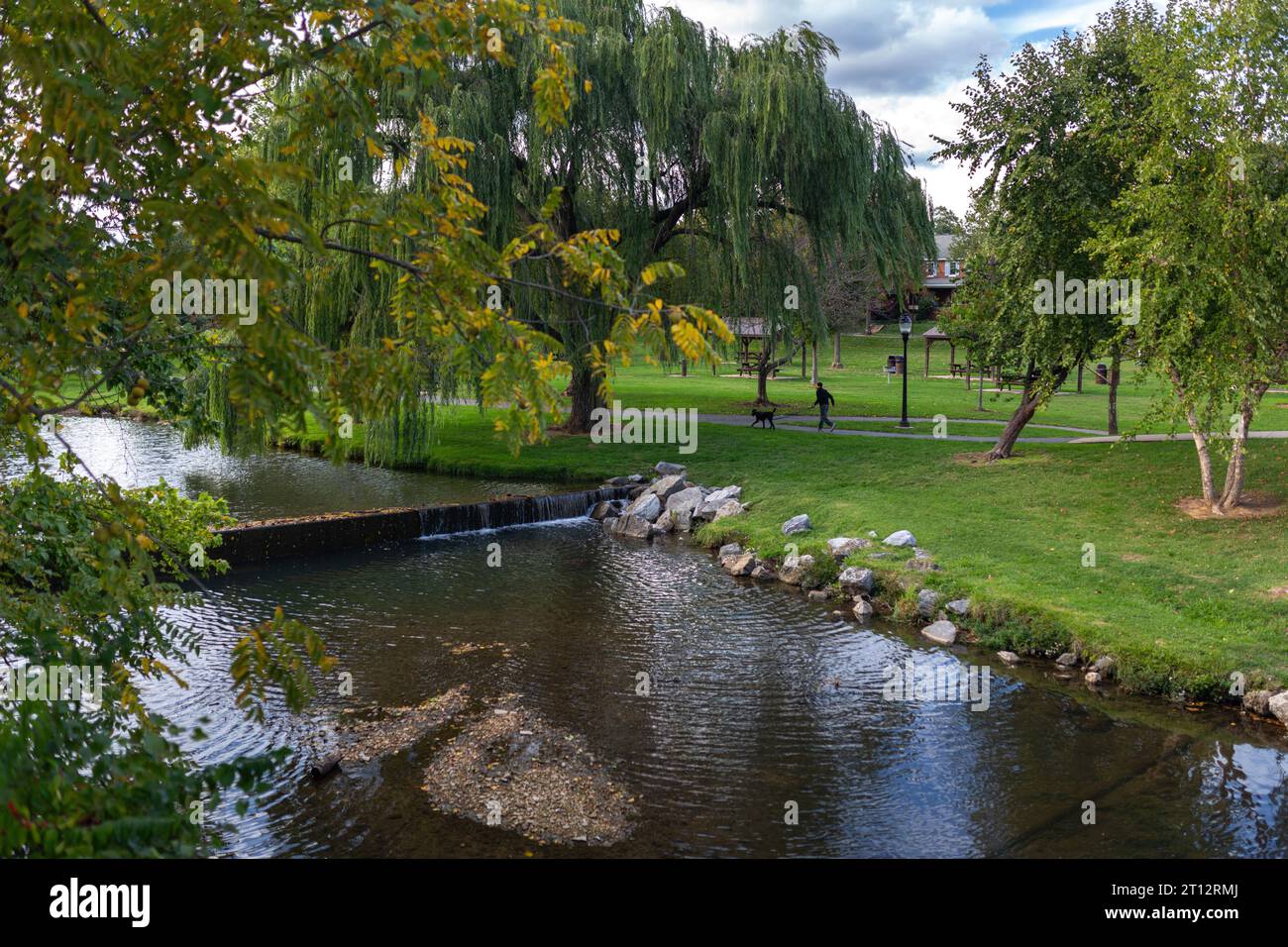 Baker Park, Frederick, MD: Willow trees, green grass, and a scenic walk ...