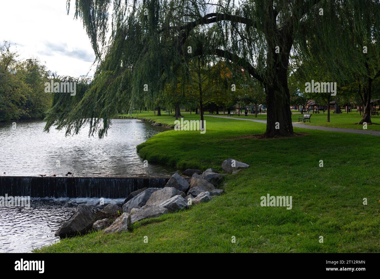 Baker Park, Frederick, MD: Willow trees, green grass, and a scenic walk ...