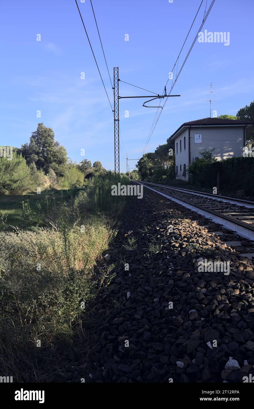 Railroad track with overhead cables passing in a forest next to a town ...