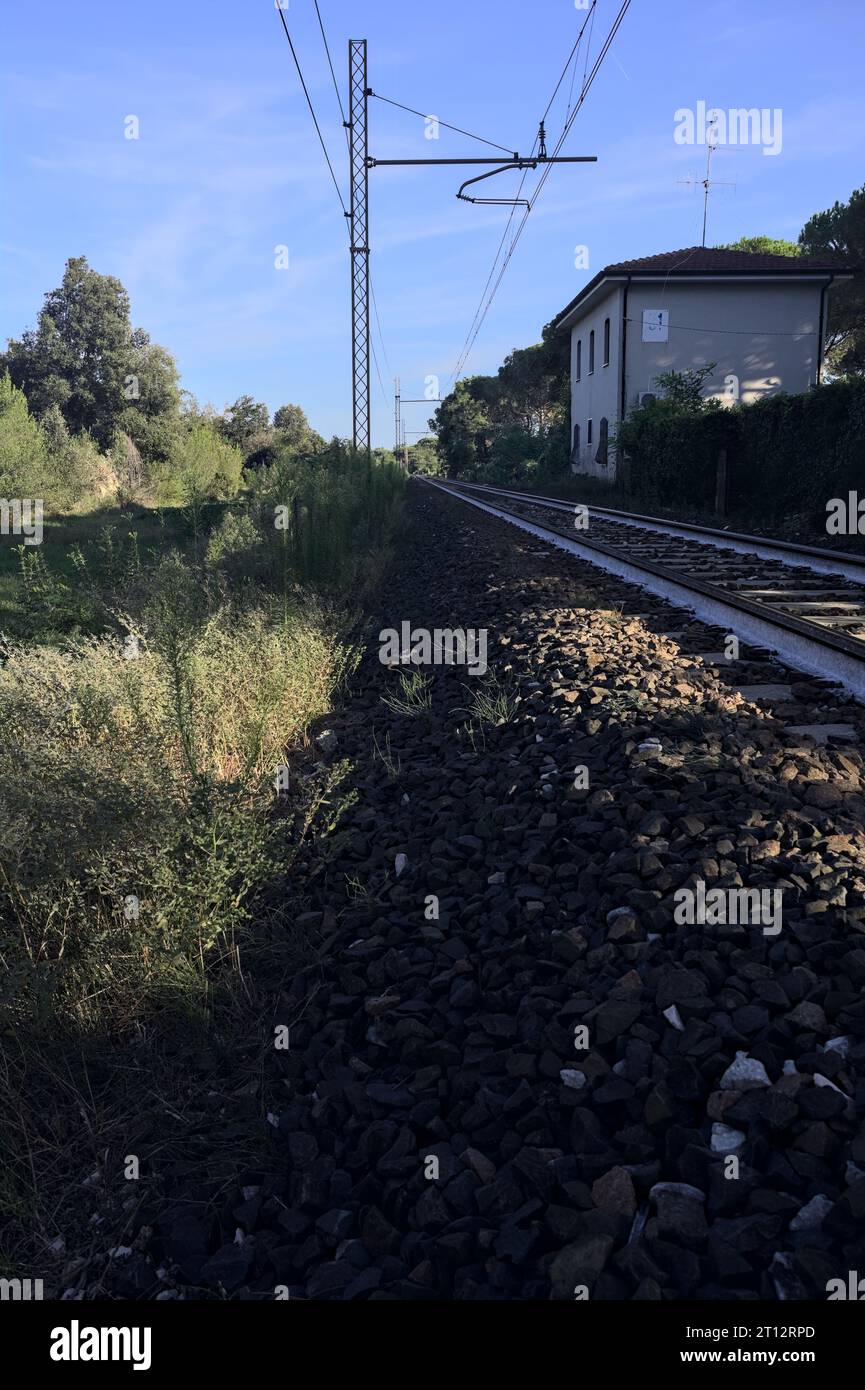 Railroad track with overhead cables passing in a forest next to a town ...