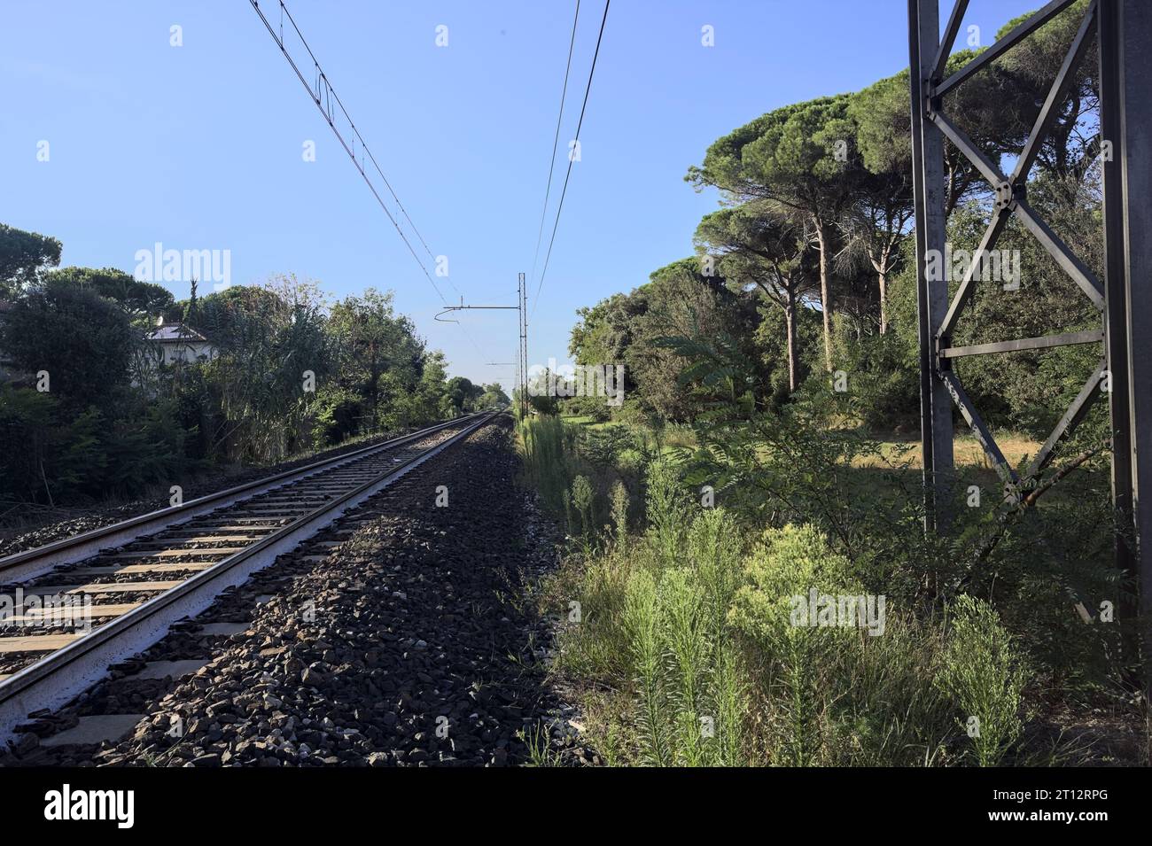 Railroad track with overhead cables passing in a forest next to a town ...