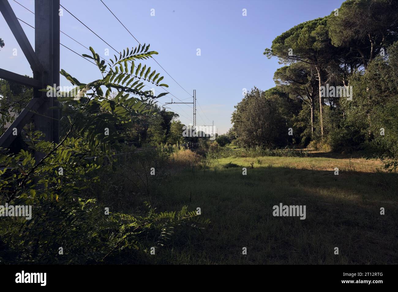 Railroad track with overhead cables passing in a forest next to a town ...