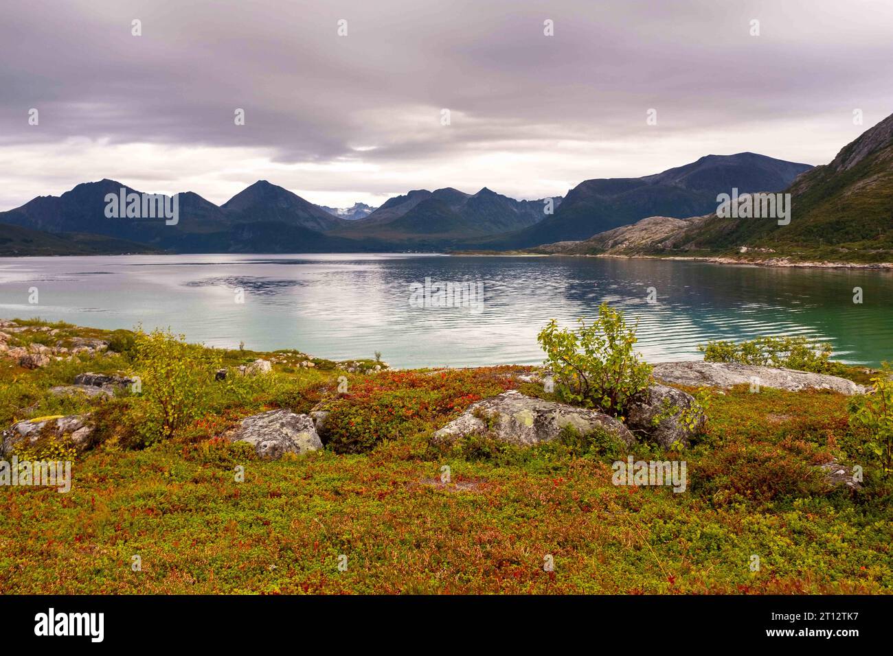 September 05, 2023: Shades of autumn reds and yellows color Norwegian ...