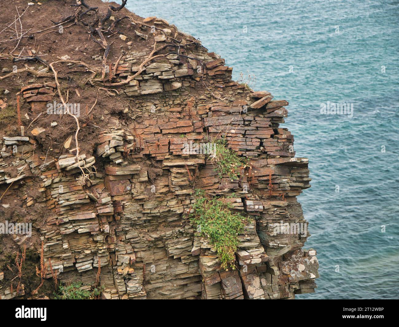 Heavily fractured rock strata in coastal cliffs on the Pembrokeshire ...