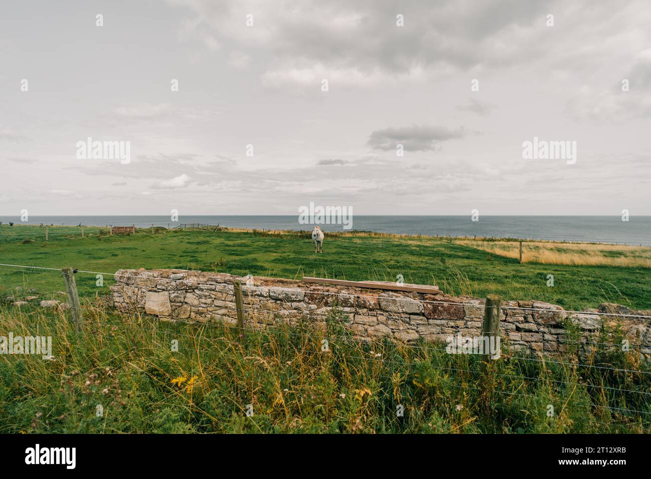 Cocklawburn Beach from the Dunes, a rural beach within Northumberland ...