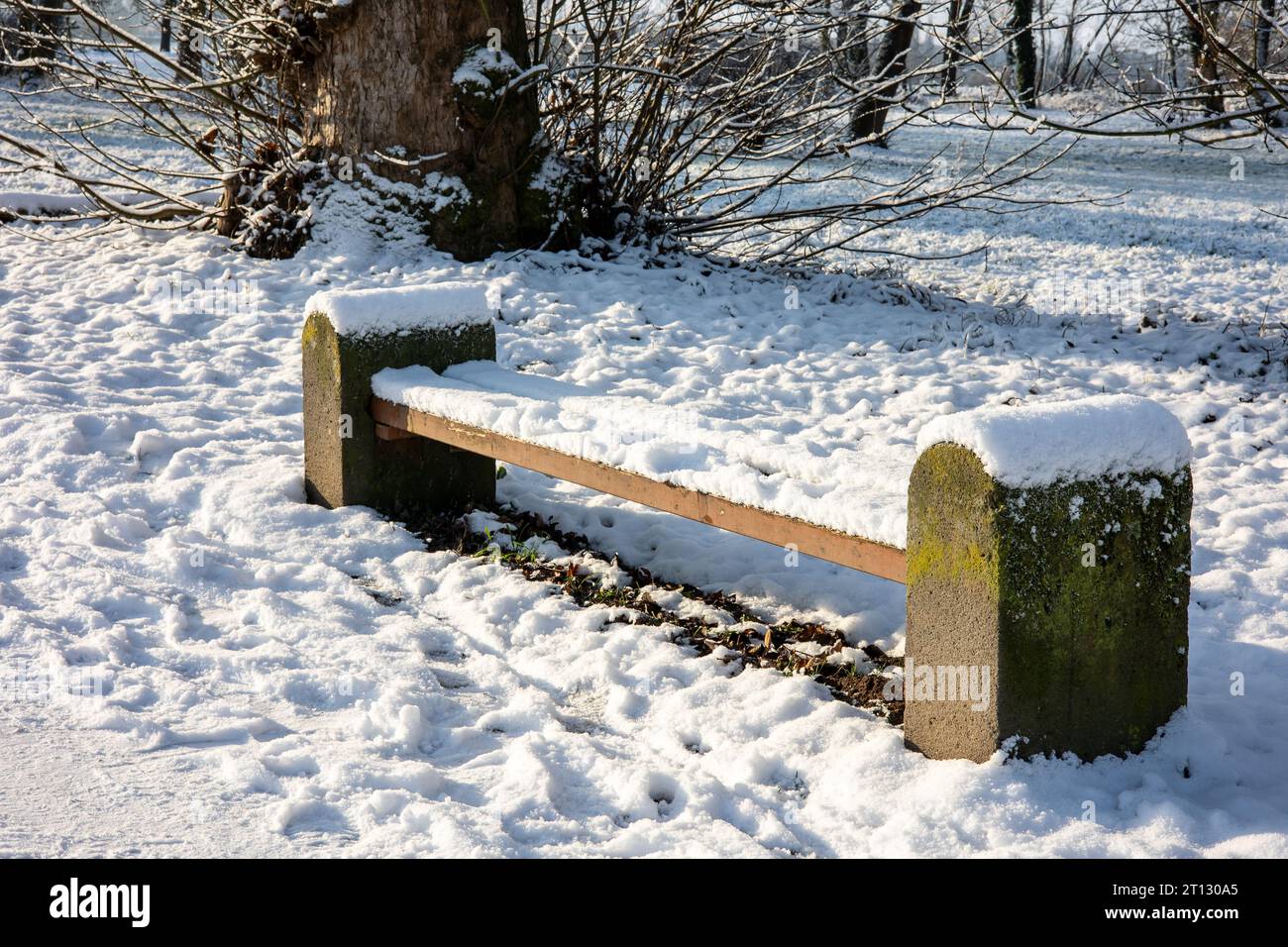 Frosted park bench hi-res stock photography and images - Alamy