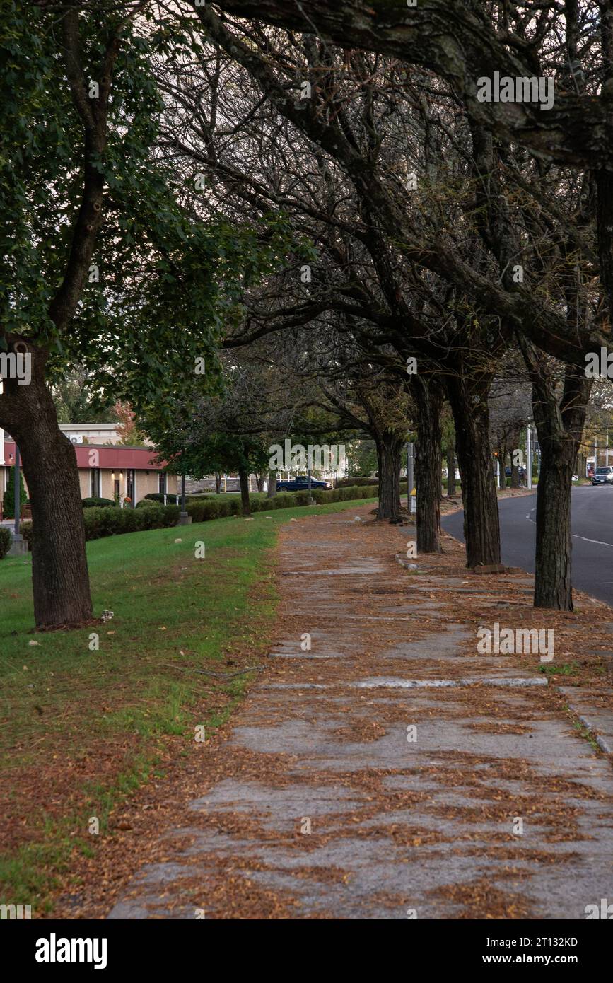 Different angles of footpaths Stock Photo - Alamy
