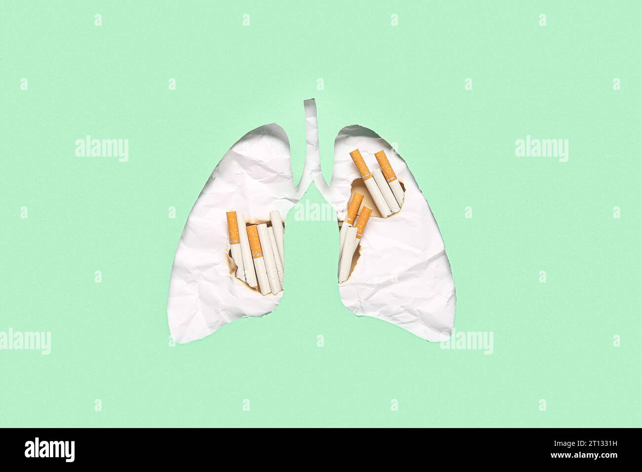 Cut out paper lungs with burnt holes and cigarettes on turquoise ...