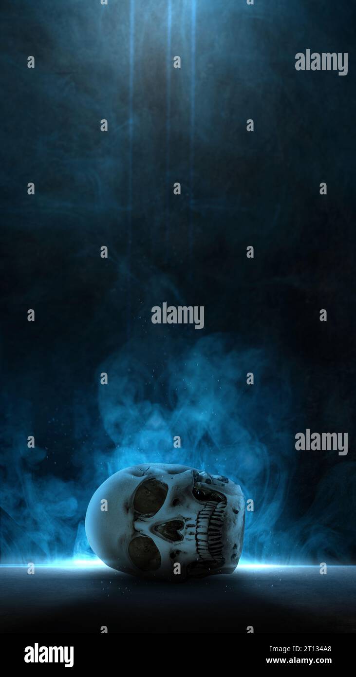 Human skull head in a dark background. Scary skull Halloween concept ...