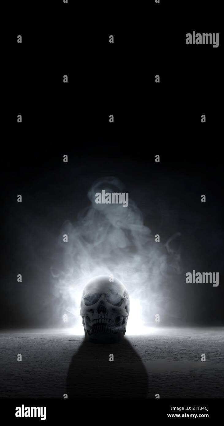 Human skull head in a dark background. Scary skull Halloween concept ...