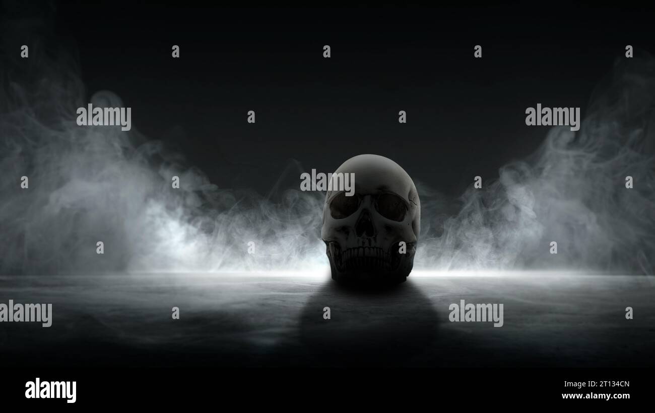 Human skull head in a dark background. Scary skull Halloween concept ...