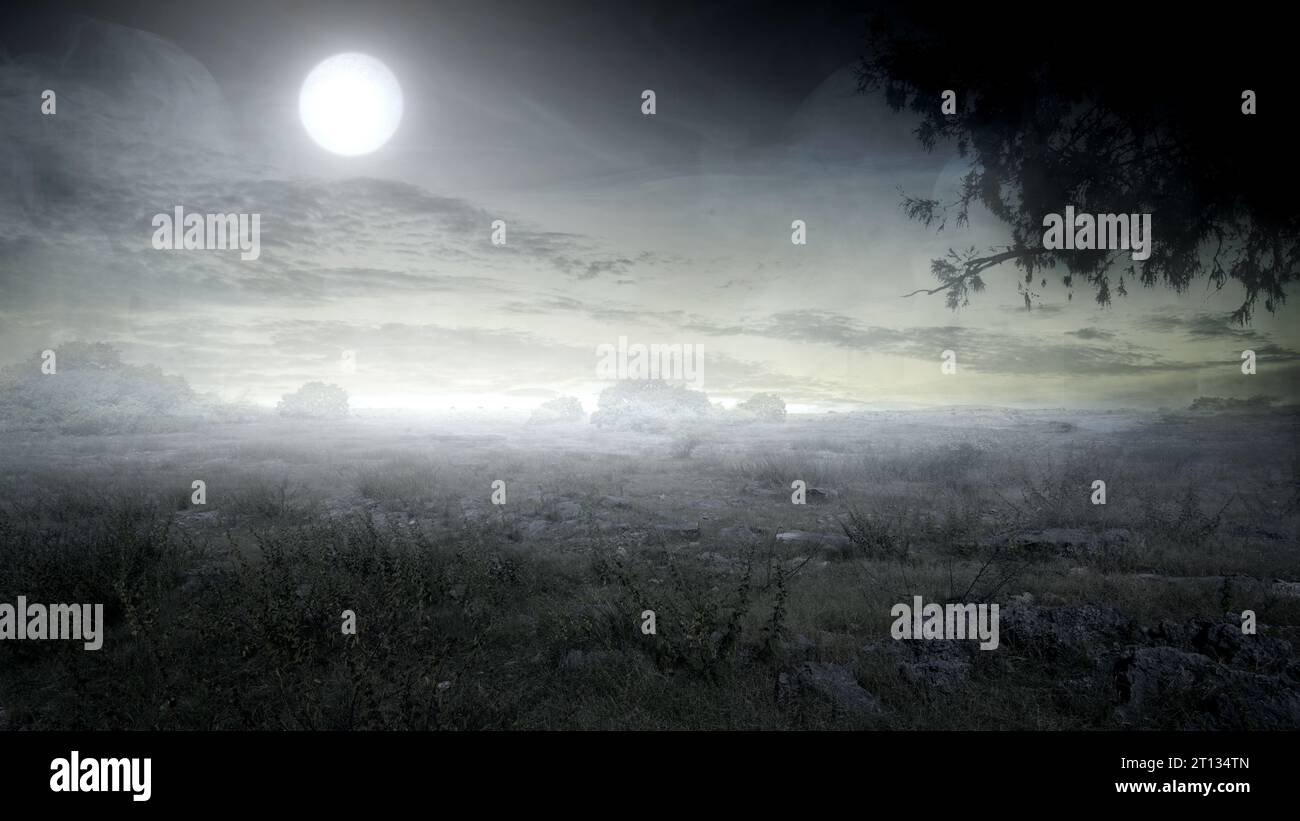 Meadow field with full moon view in the night. Scary Halloween ...