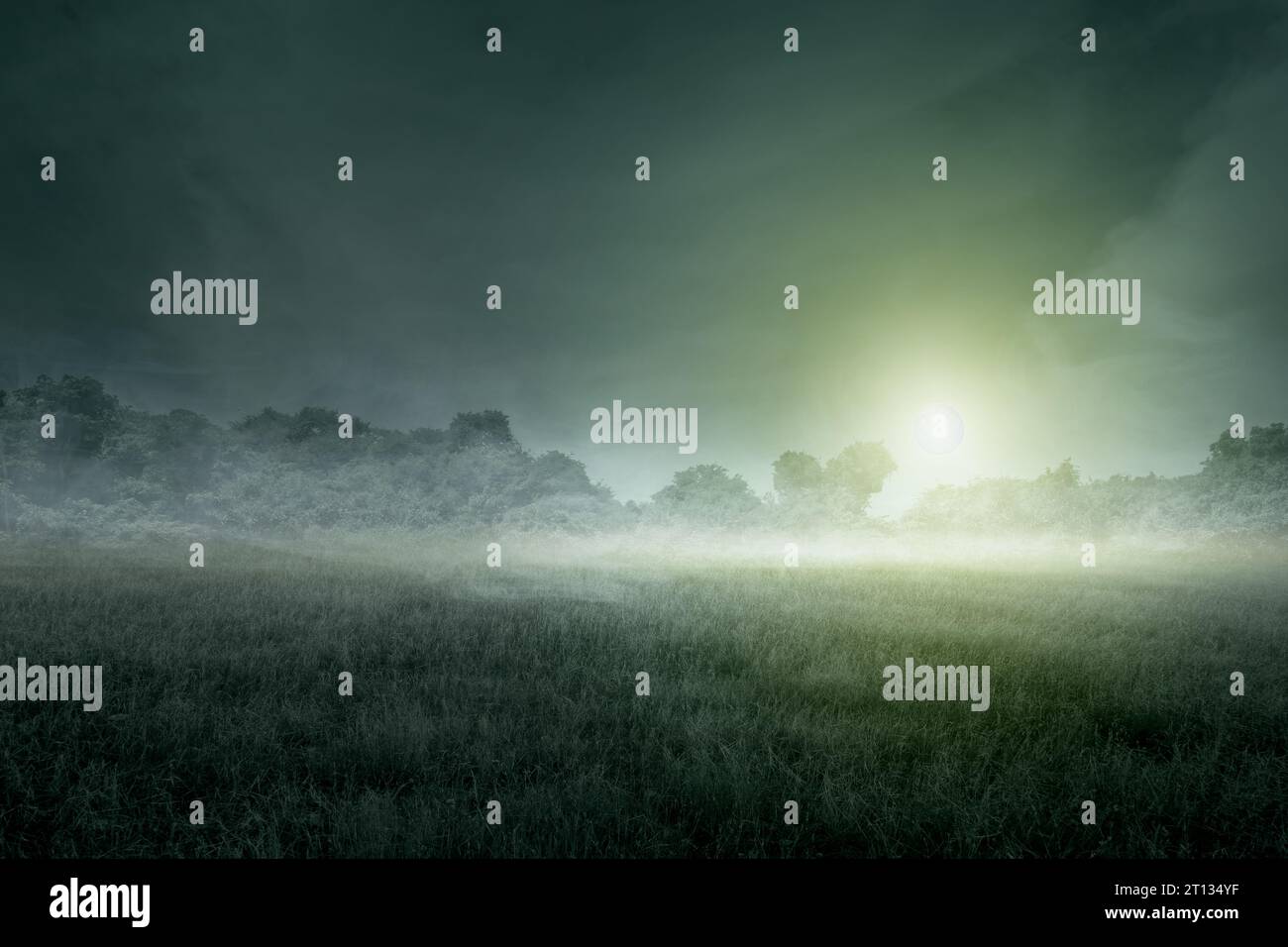 Meadow field with full moon view in the night. Scary Halloween ...