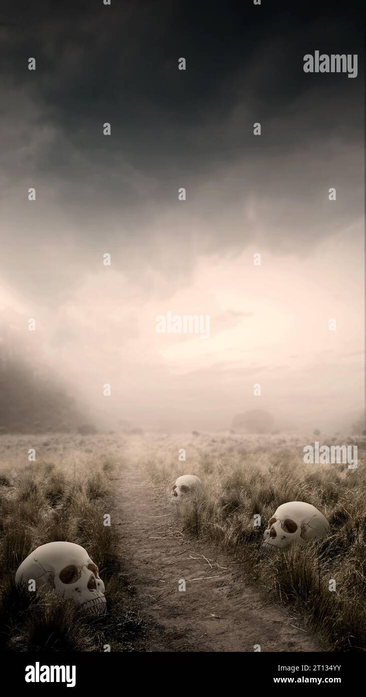 Meadow field with human head skulls and dramatic clouds. Scary ...