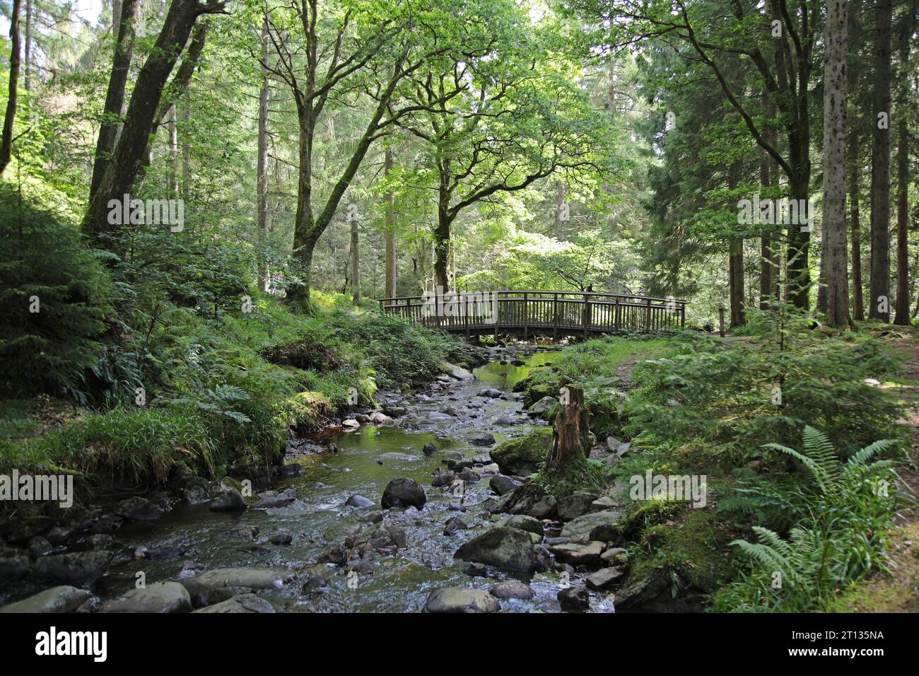 Queen elizabeth forest park scotland hi-res stock photography and ...